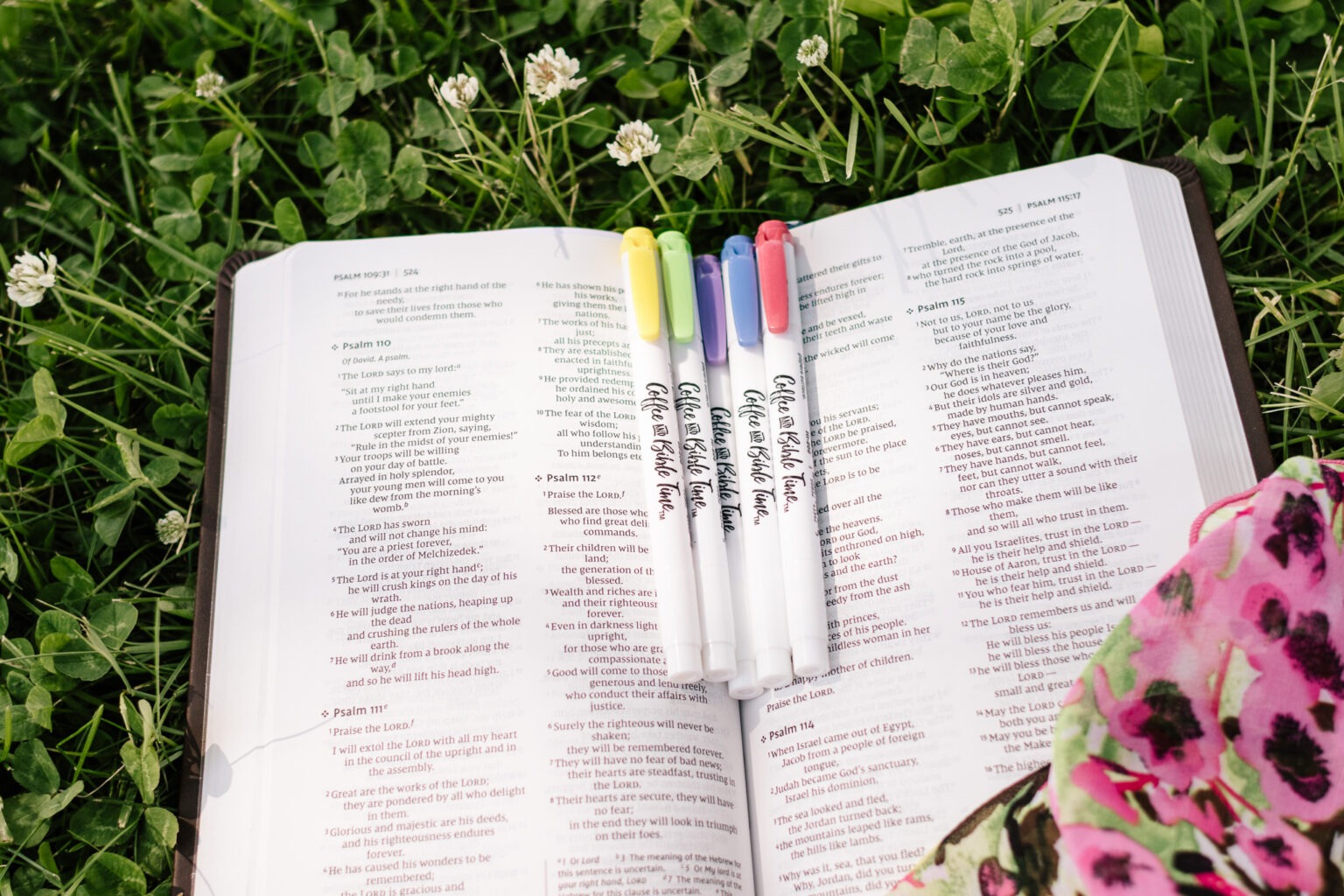 Best Bible Highlighters Soft Colors Double Ended Set Of 5 Coffee