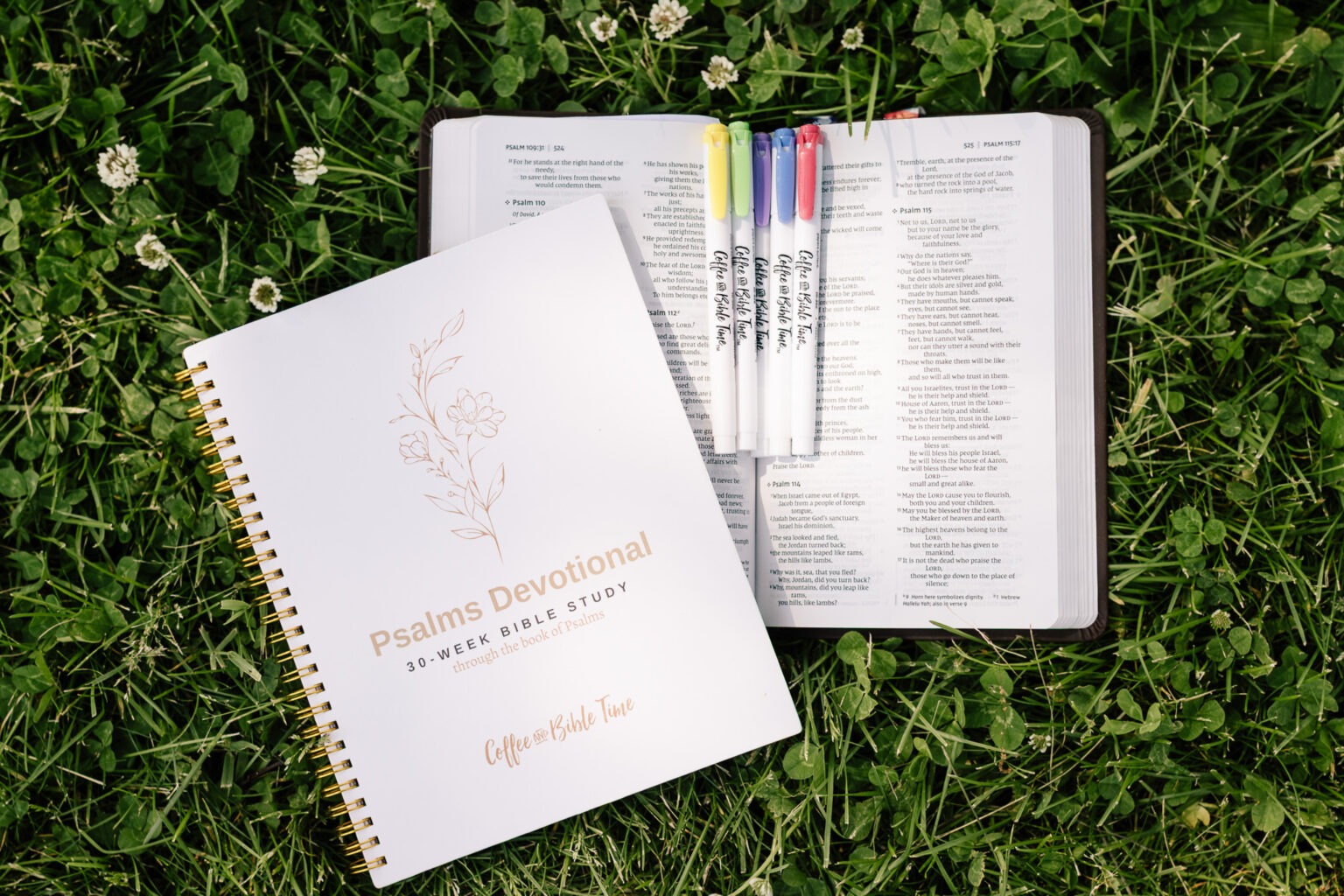 Psalms Devotional | 30 Week Bible Study – Coffee and Bible Time