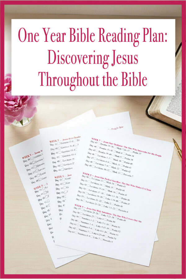 One Year Bible Reading Plan: 365 Days Discovering Jesus Throughout the ...
