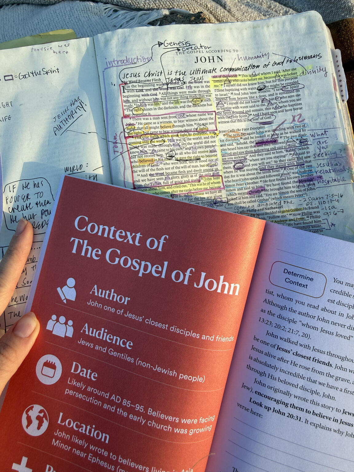 The Gospel of John Bible Study | 7-Week EASY Study Guide Book – Coffee ...